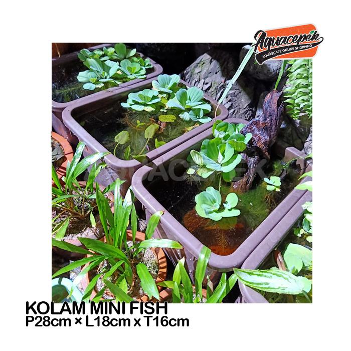 Jual KOLAM MINI FISH / MINIPOND FISH / GUPPY A100 PROJECT FULL SET ...