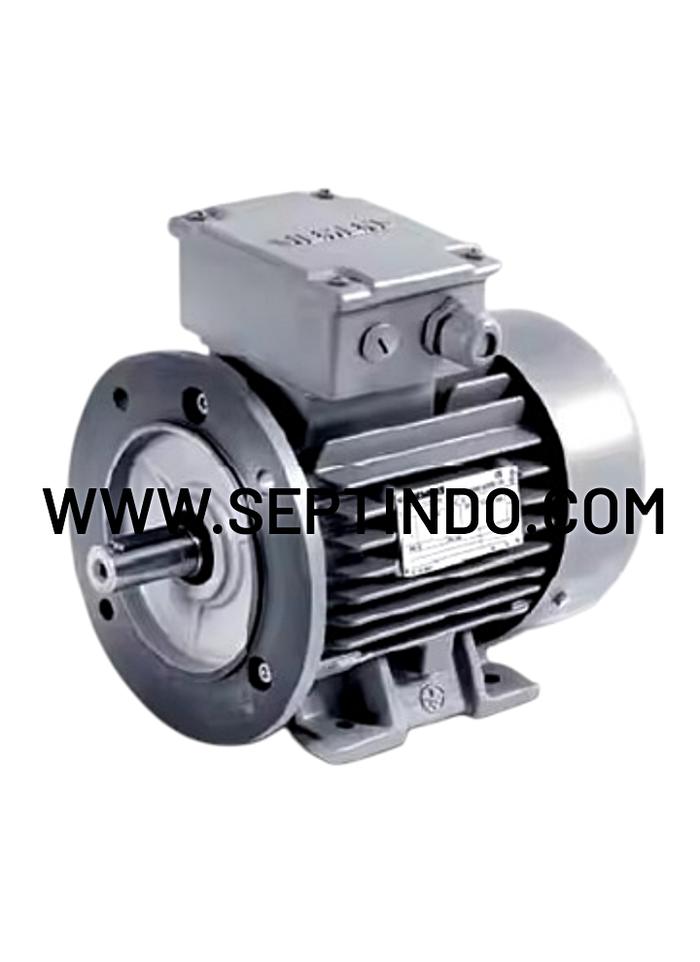 Jual Siemens Electric Motor TEFC 45KW 60HP 3000 RPM ,1500 RPM,1000 RPM ...
