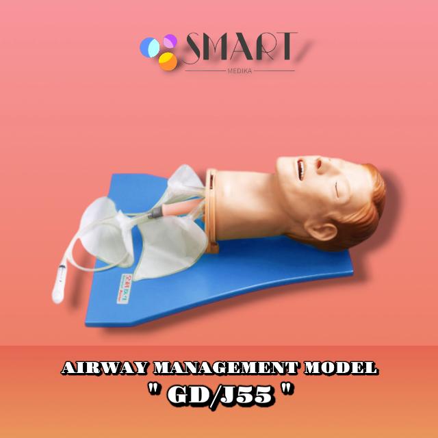 Jual PHANTOM MANIKIN AIRWAY MANAGEMENT MODEL GD-J55 / PERAGA MANEKIN ...
