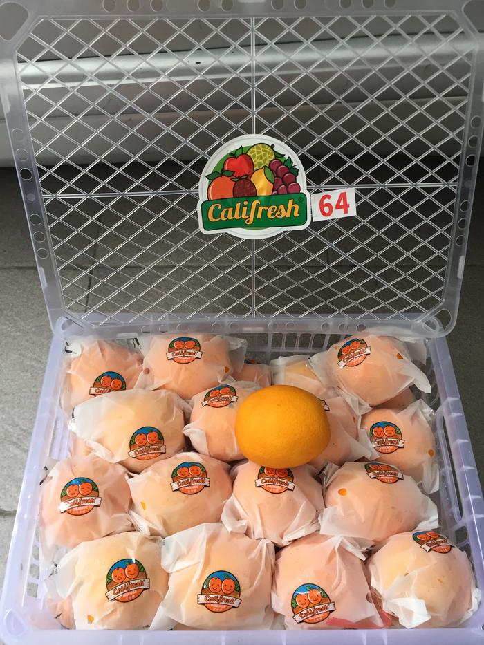 Jual Jeruk Sunkis Navel RRC (14 Kg) Fresh Import - Jakarta Utara ...