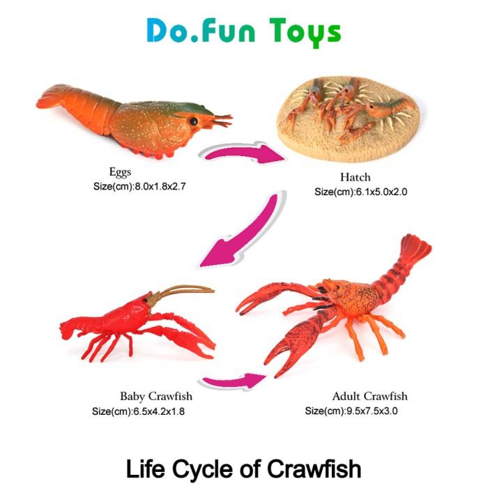 Jual Animal Figure Life Cycle of Crayfish / Siklus Hidup Lobster Air ...