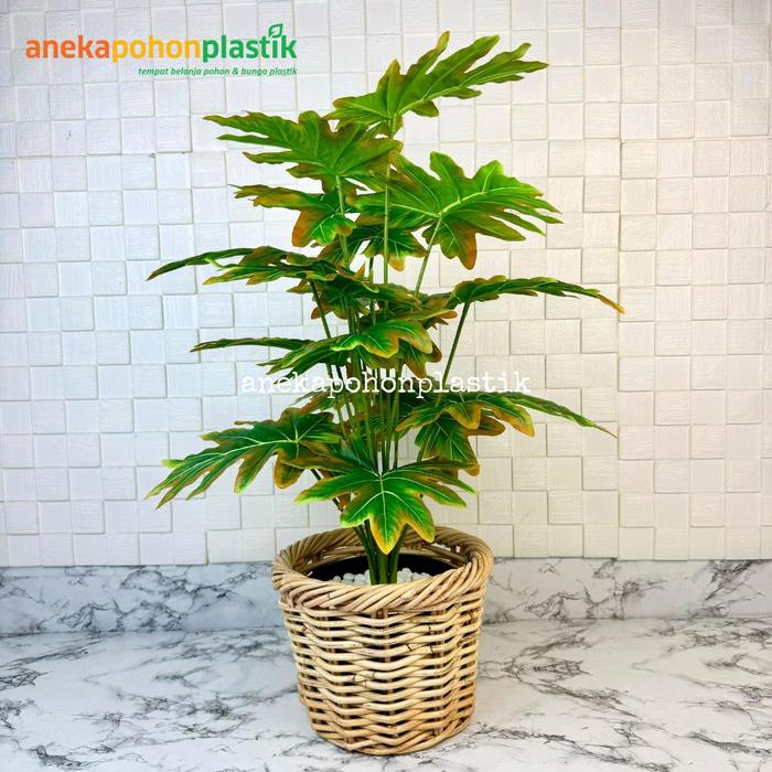 Jual Pohon Artificial Tanaman Daun Monstera Jari Philo Orange X18 ...
