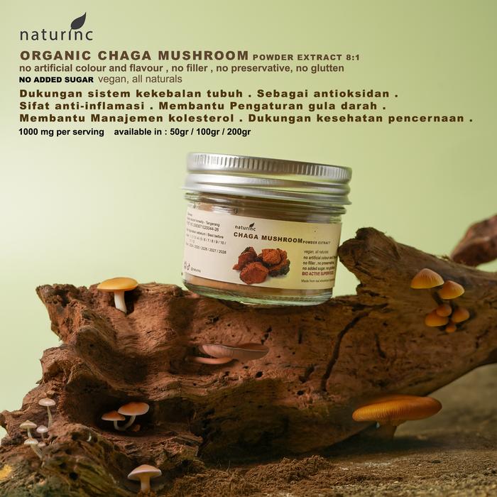 Jual kopi jamur organic Mushroom coffee lions mane turkeytail ...