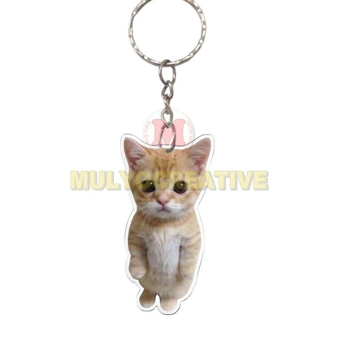 Jual Gantungan Kunci Meme Cat Standing Ganci Keychain Meme Dudul Kucing ...