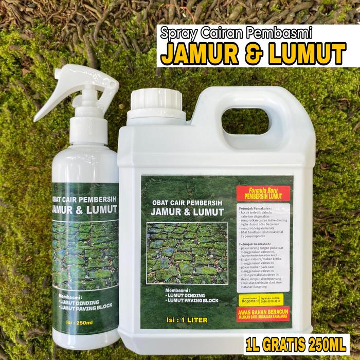 Jual Spray PEMBASMI LUMUT & JAMUR DING2 1L GRATIS 250ML - Kab. Bogor ...