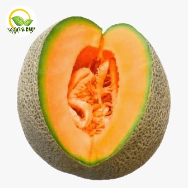 Jual Buah Melon Kuning 1 kg Lebih Pekanbaru - Kota Pekanbaru ...