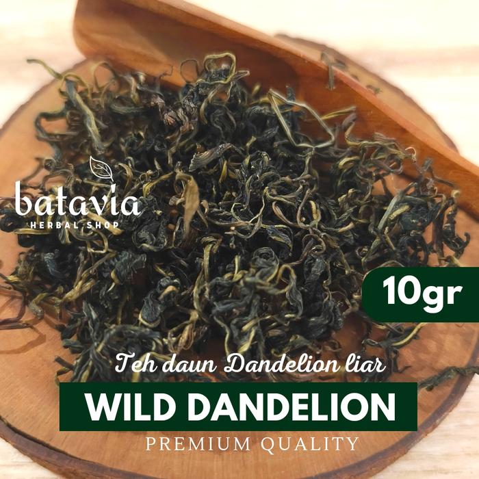 Jual Wild Dandelion Tea Dandelion Leaf Teh Daun Randa Tapak Premium ...
