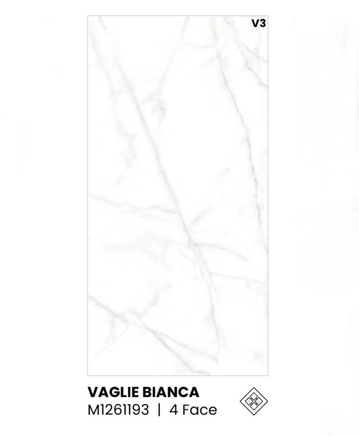 Jual GRANIT SUNPOWER 60X120 UNTUK DINDING dan LANTAI VAGLIE BIANCA ...