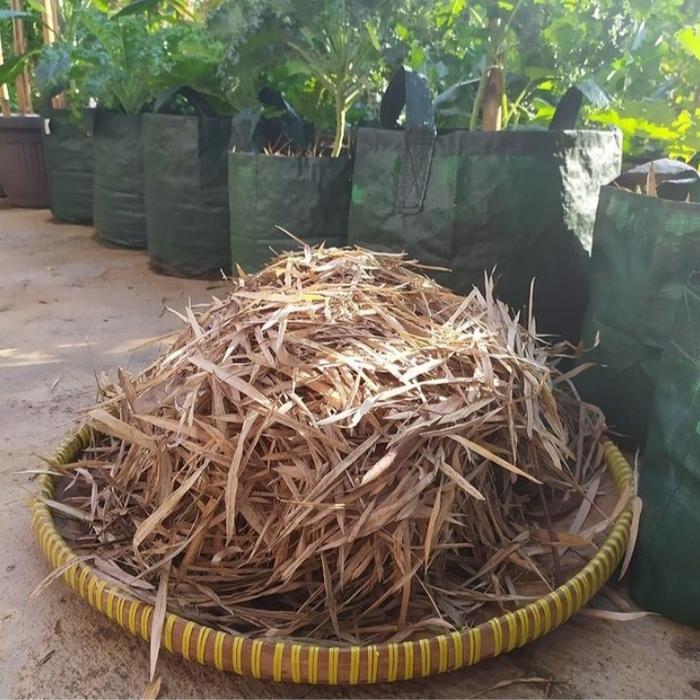 Jual Daun Bambu Kering Cocok Untuk Media Tanam Netto 1kg Original ...