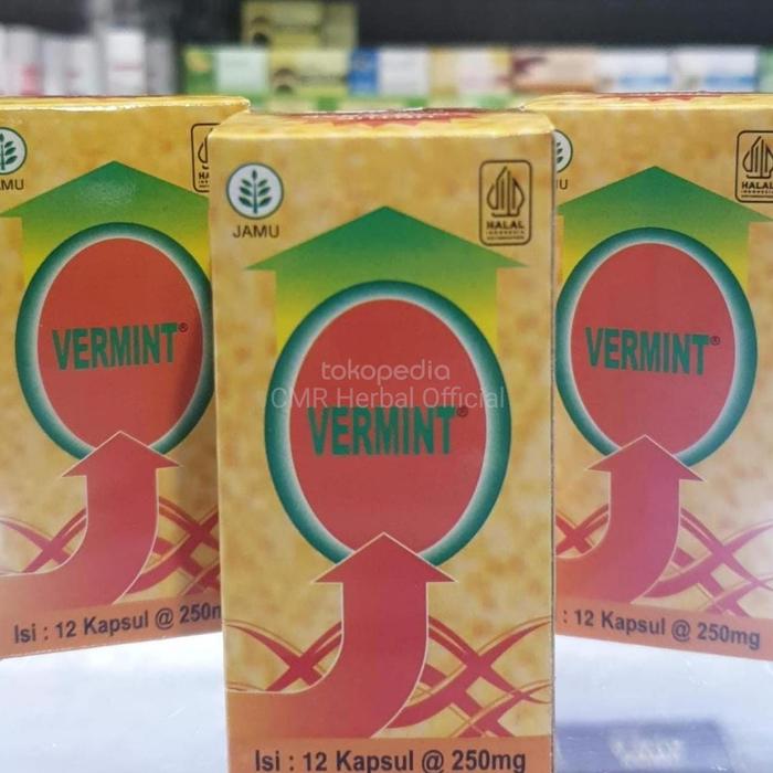 Jual Vermint 12 kapsul Cacing Lumbricus Rubellus untuk Demam, Thypus ...