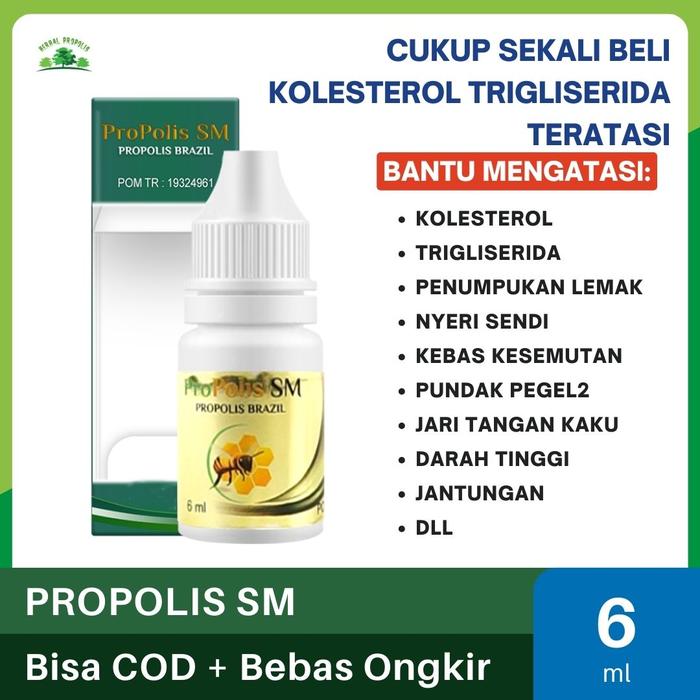 Jual Obat Lemak Darah Kolesterol Tinggi Penumpukan Trigliserida LDL ...