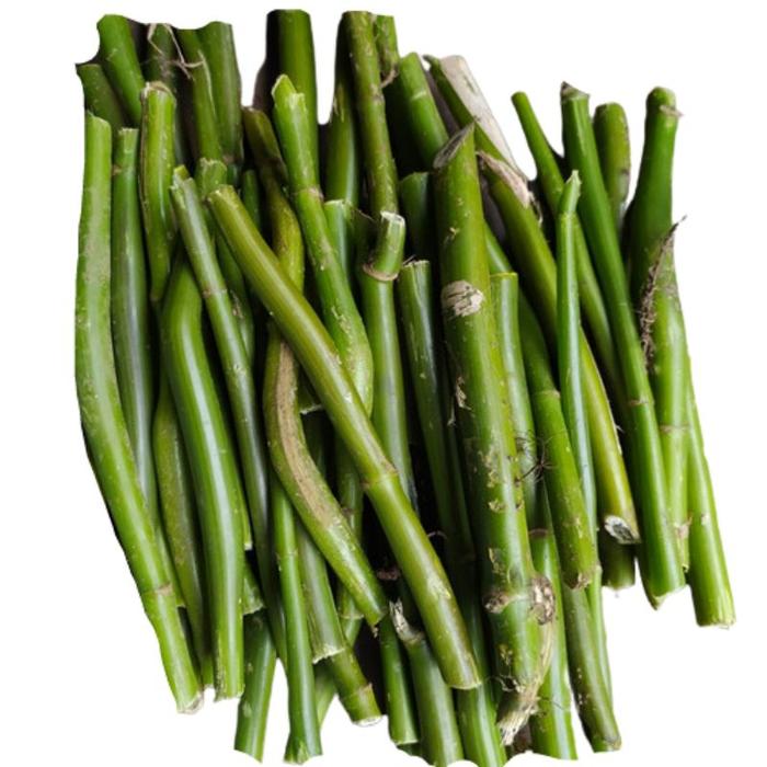 Promo Bibit Stek Pohpohan Sayuran Lalap Khas Sunda - Kota Banjar ...