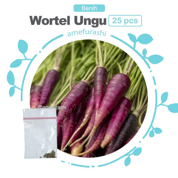 Jual Bibit / Benih / Seeds Sayur Wortel Putih Carrot Snow White ...