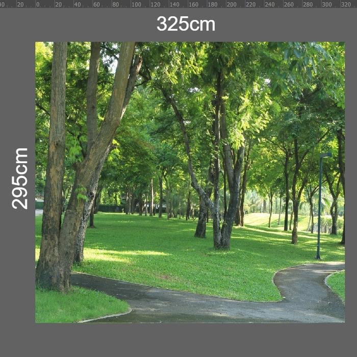 Jual Wallpaper Custom Pohon Hutan Wallpaper Hutan dengan pemasangan ...