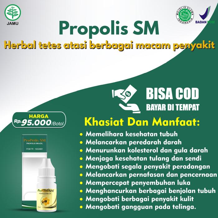 Jual Obat Anak Sakit Gigi - Gusi Bengkak Dan Nyeri Pada Anak - Propolis ...