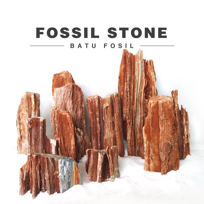 Jual Batu Fosil Kayu Aquascape / Aquarium 1kg - Kota Tangerang - CGK ...