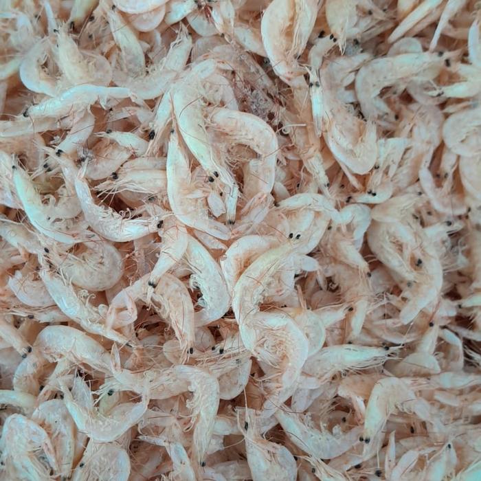 Jual rebon asin 500g - Kota Tangerang - RD berkah ikan asin | Tokopedia