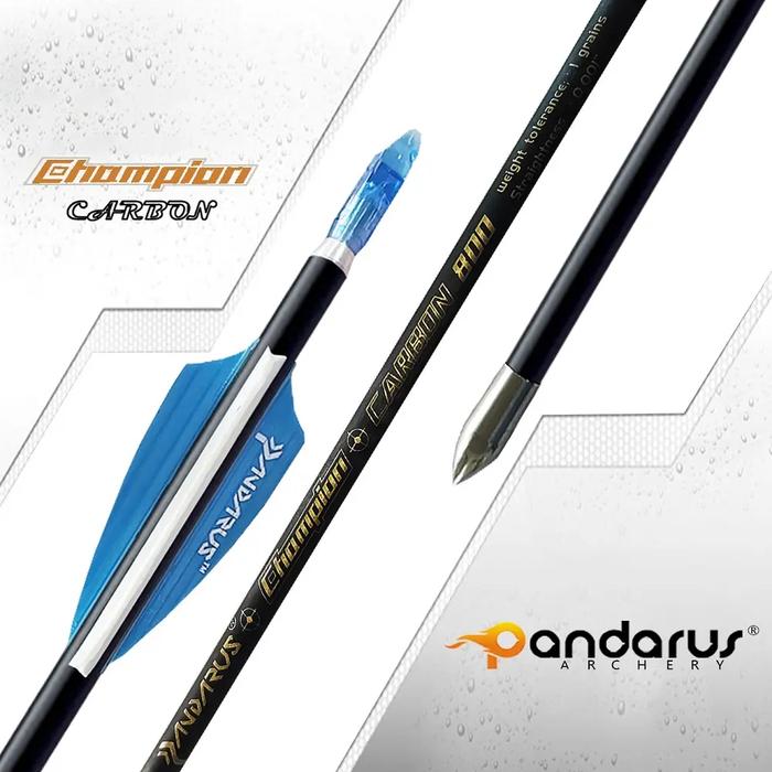 Jual Anak Panah Arrow Pandarus Champion Pure Carbon ST 0.001 ID 4.2mm ...