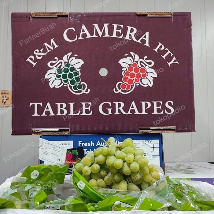 Jual Anggur Thompson Australia Sedleess 9 Kg / Box - Jakarta Barat ...