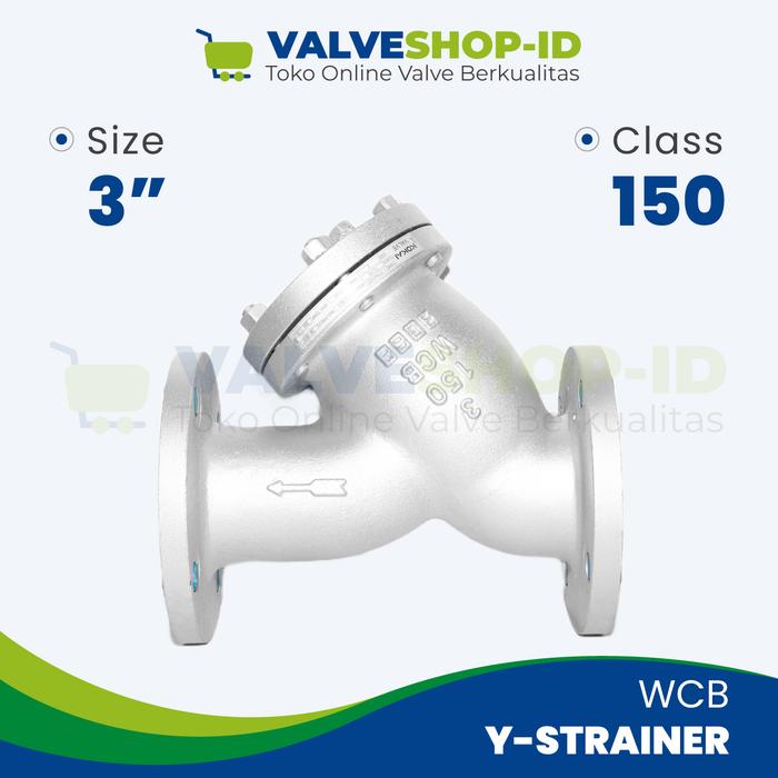 Jual Y-Strainer / Y Strainer 3" Inch WCB ANSI Class 150 LB - Kota ...
