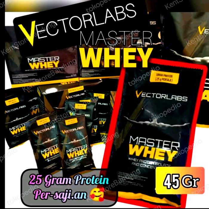 Jual Master Whey by vectorlabs SASET 45Gram - choco amerto - Kab ...