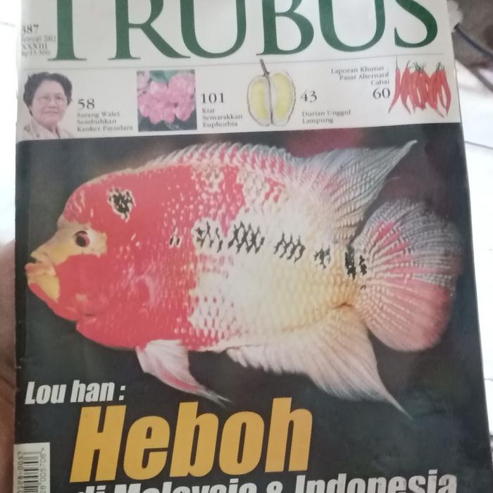 Jual Buku Bekas Layak Pakai Lou Han Heboh Di Malaysia dan Indonesia ...