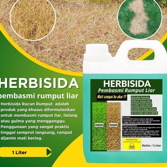Jual Pembasmi rumput liar 1 liter kemasan jerigen mati sampai ke akar ...
