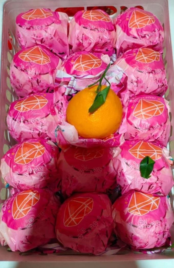 Jual Imlek Gift Pack Buah Jeruk Papagan Cina Keranjang Triramulia ...