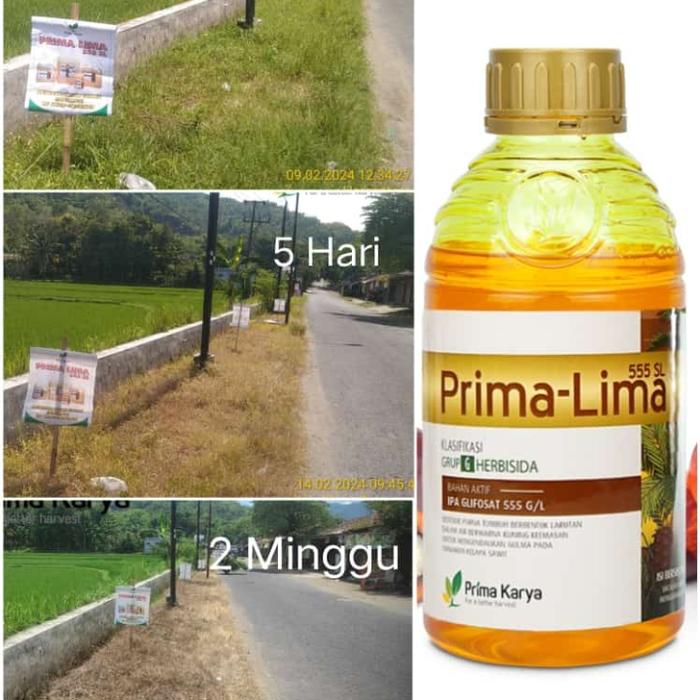 Jual Herbisida Prima lima 555sl 1liter - Kab. Cilacap - karya hidup ...