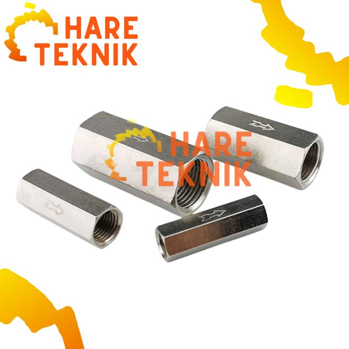 Jual 1" Pneumatic Check Valve No Return One Way Valve Hexagonal 1 Inch ...