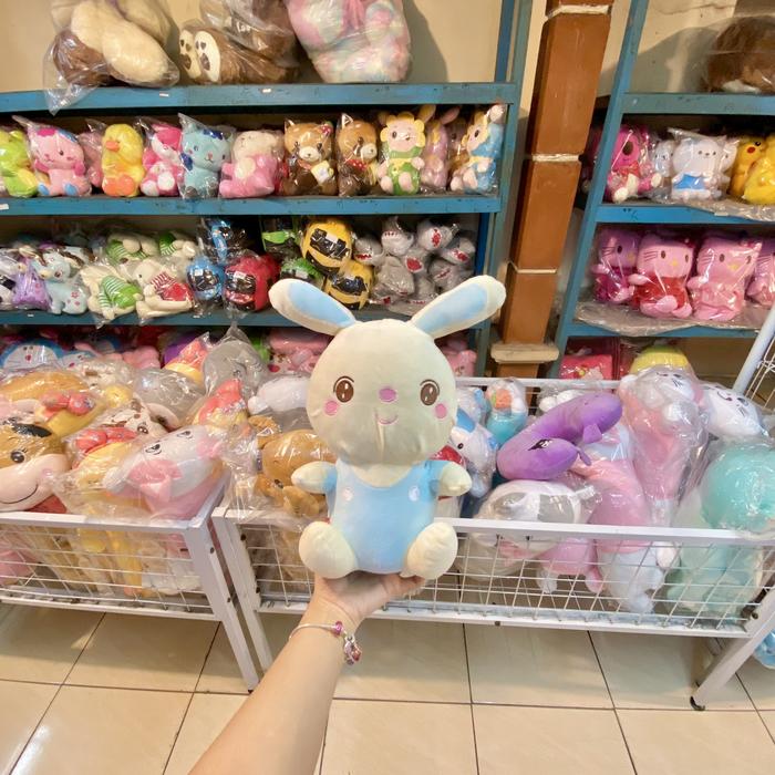 Jual BONEKA KARAKTER HEWAN BINATANG RABBIT VIRAL TIKTOK TARIK KOREA ...