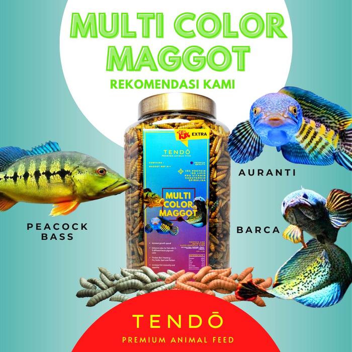 Promo Pakan Makanan Arowana Super Red / Arwana Super Red Maggot Kering ...
