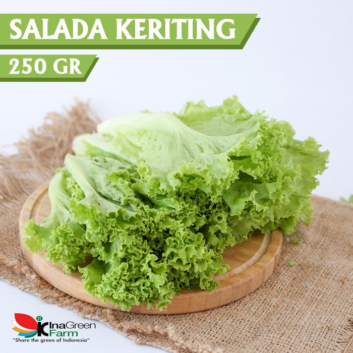 Promo Sayur Selada Keriting Organik Inagreen 250 Gram Bandung - Kota ...