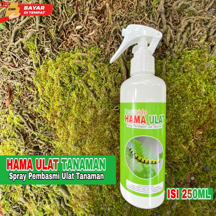 Jual PESTISIDA Spray Pembasmi Hama Ulat Tanaman | Ulat Bulu (250ML ...