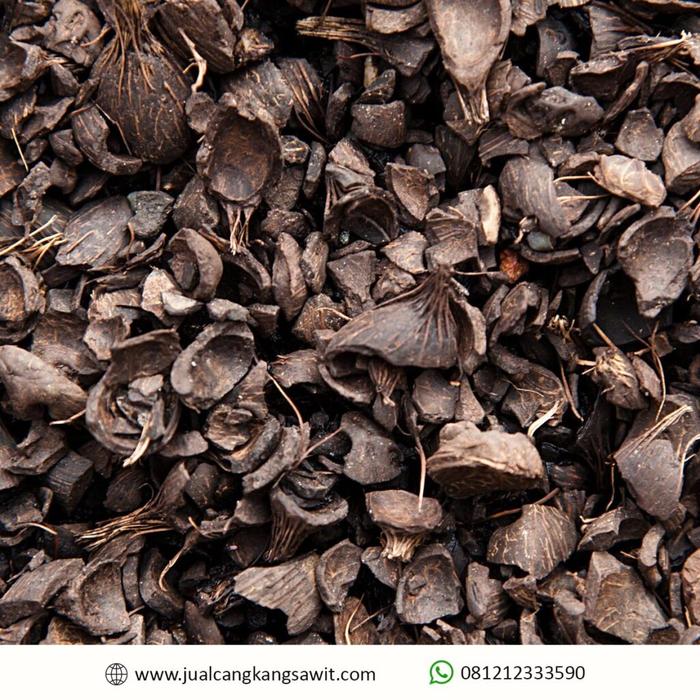 Jual Palm Kernel Shell / Cangkang Sawit Dura / Tenere - Kota Surabaya ...