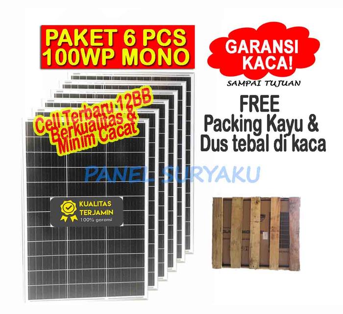 Jual Paket 6pcs Solar Panel Surya 100wp Mono FREE Packing Kayu ...