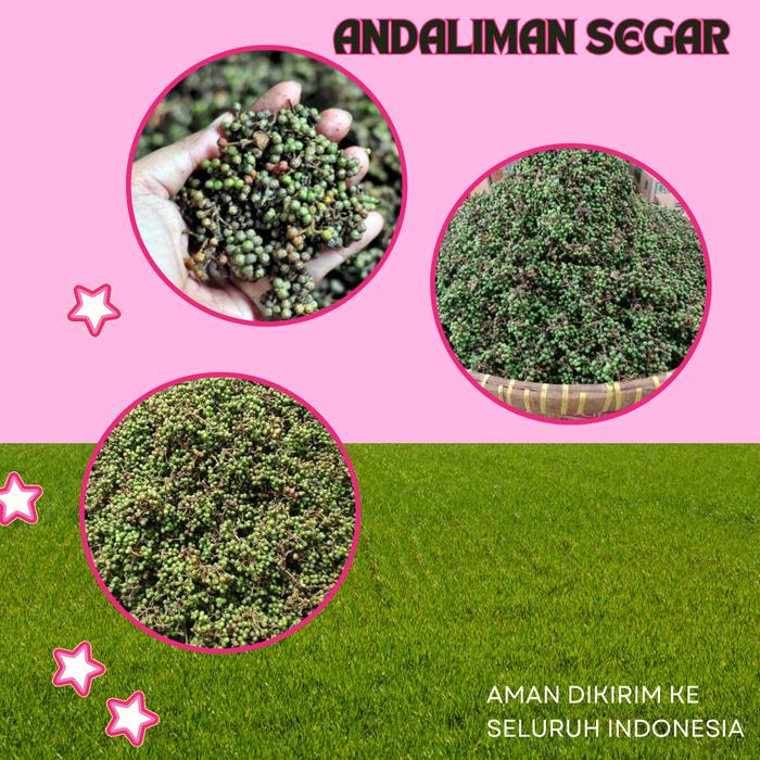 Jual Andaliman segar/andaliman raya bumbu khas Medan per 50 Gram - Kab ...