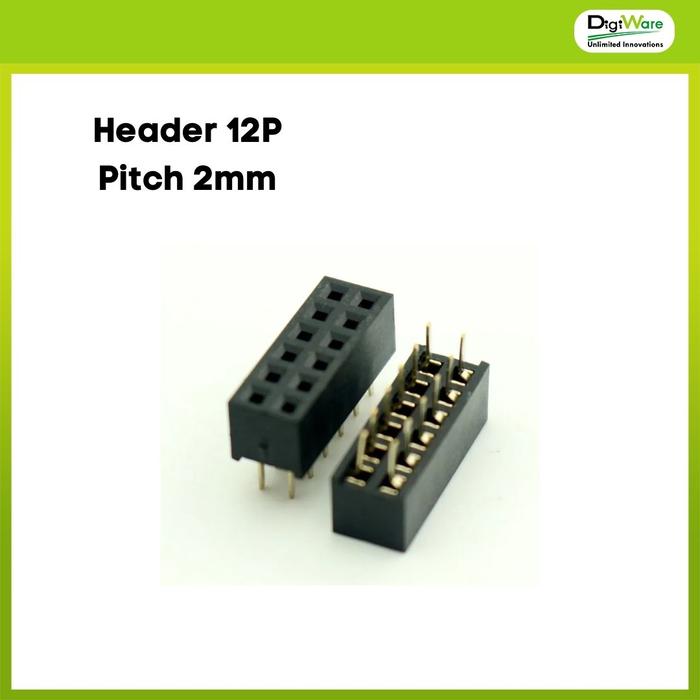 Jual Pin Header Female 2x6 Pin Double Row 2mm height 4.6mm - Kota ...