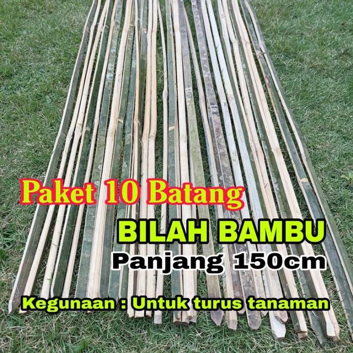 Jual 10 Batang Bambu Bilah Panjang 150cm/Bambu Turus Tanaman - Kota ...