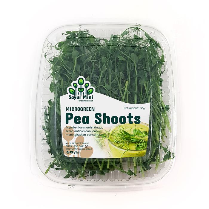 Jual Pea Shoot 50gr - Salad Microgreen - Fresh Cut - Kacang Polong ...