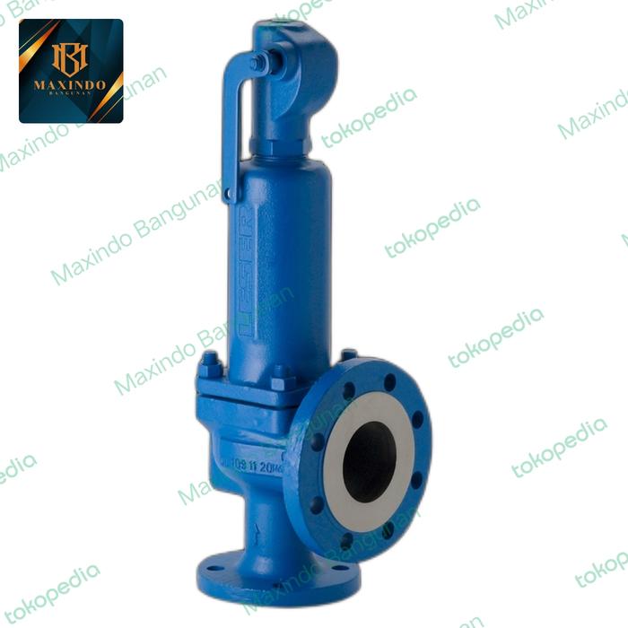 Jual Safety Valve LESER 4" x 6" Inch PN16 WCB DN100 x DN150 Lever ...