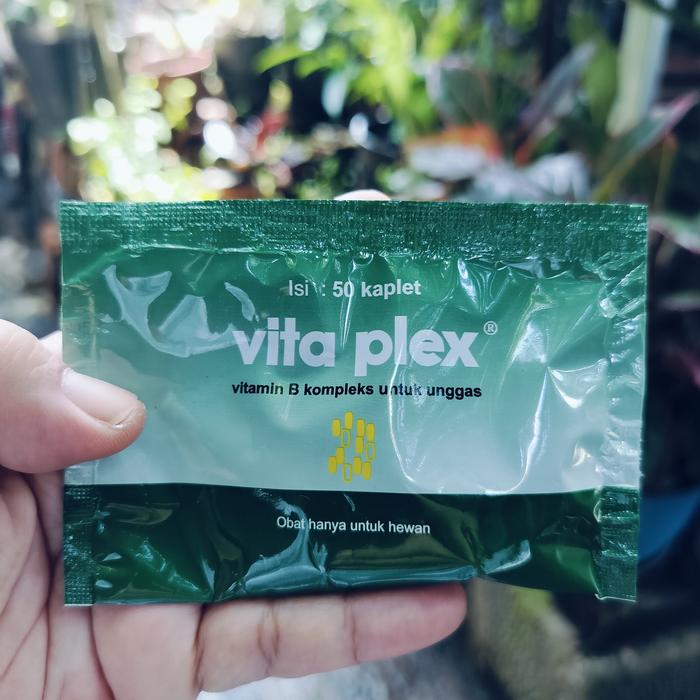 Promo VITA PLEX 50 Kapsul - Vitamin Unggas Ayam Burung Lengkap Vitaplex ...
