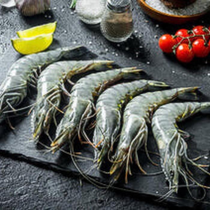 Jual udang pancet 500gr / udang windu / udang tiger prawn / seafood 22 ...