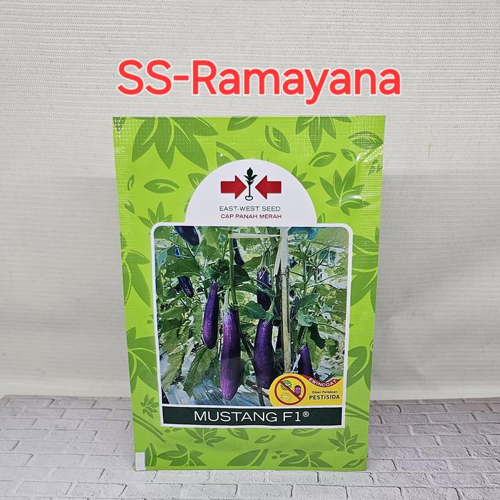 Jual Benih Terong Ungu Mustang F1 isi 1100 butir Cap Panah Merah - Kota Metro - SS-Ramayana ...