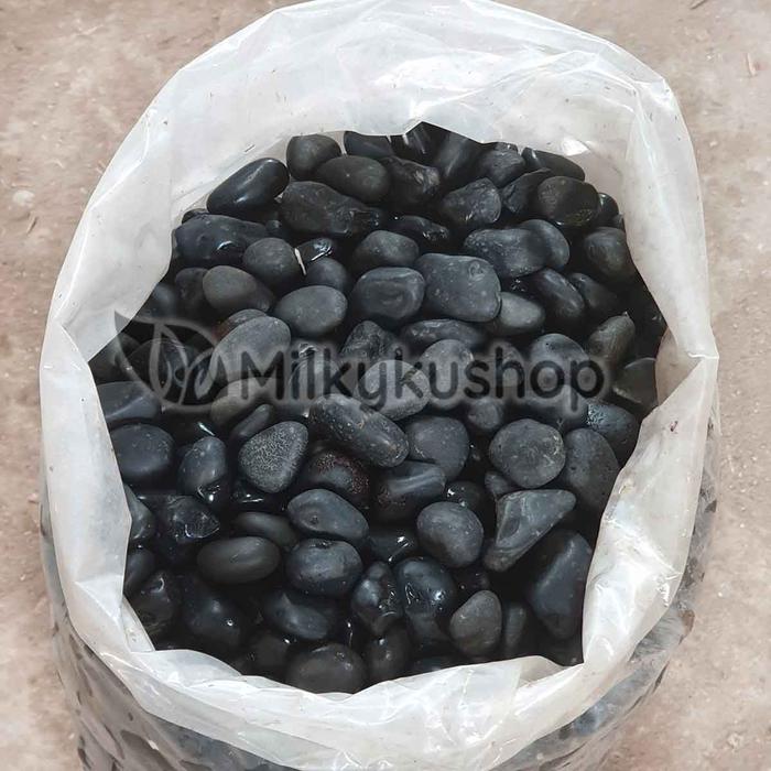 Jual BATU ALOR FLORES KECIL - KORAL HITAM HIAS TAMAN VIA GOSEND GRAB ...
