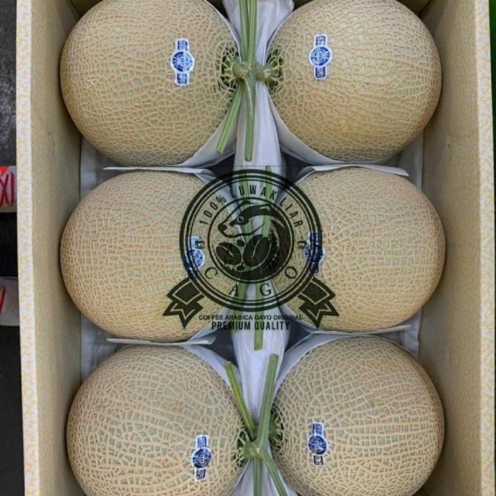 Jual Melon Shizuoka Musk Crown AAA Japanese Per Pcs Fresh Import ...