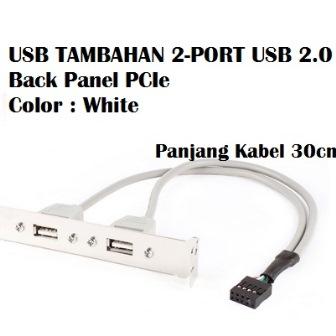 Jual USB 3.0 Extension Bracket Back Panel USB tambahan Internal Mobo ...