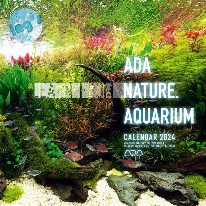 Jual ADA Calendar 2024 Kalender Dinding - Jakarta Utara - Ings ...