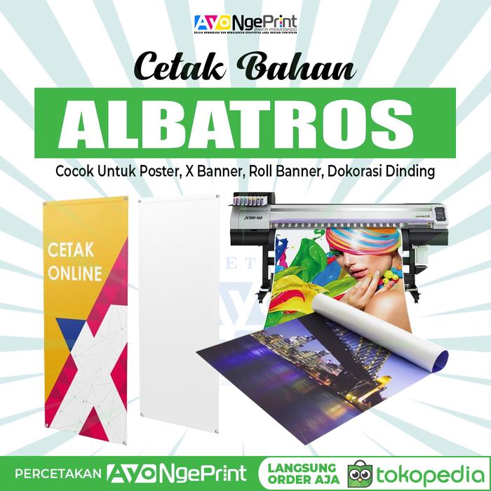 Jual Cetak Print Albatros Meteran Indoor | Untuk Media Poster / Foto ...