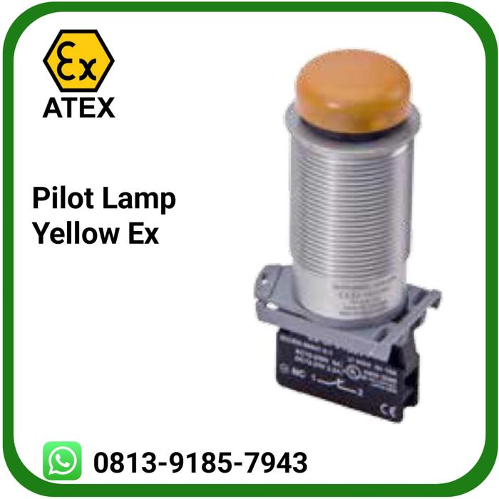 Jual Pilot Lamp 24 VDC Explosion Proof SUPERMEC for Ex d Junction Box ...